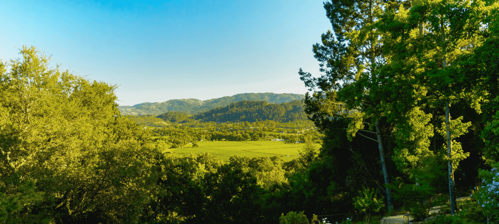 All Experiences - Rombauer Vineyards
